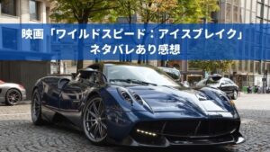 映画感想「ワイルドスピード：アイスブレイク」ファミリーの絆に感動！ - のぶきちブログ